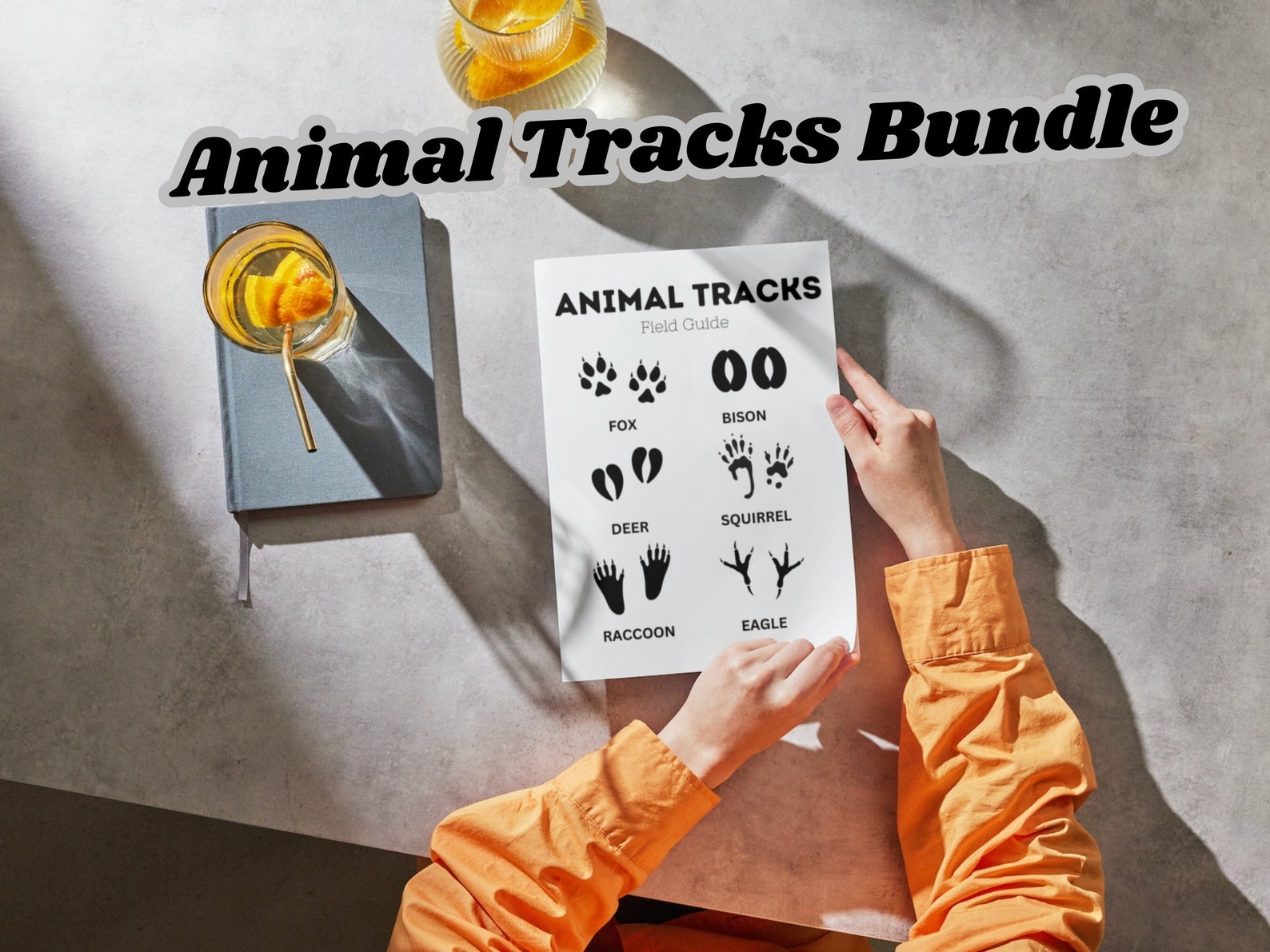 Animal Tracks Worksheet Bundle Identify Animal Tracks Educational Print ...