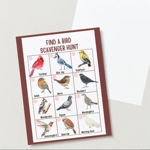 Bird Identification Scavenger Hunt | Birding Guide for Kids | Digital ...