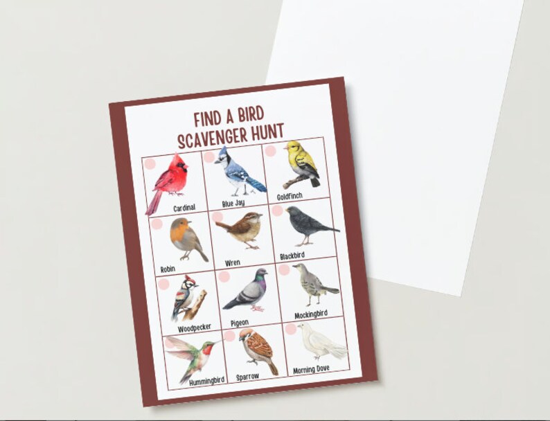 Bird Identification Scavenger Hunt | Birding Guide for Kids | Digital ...