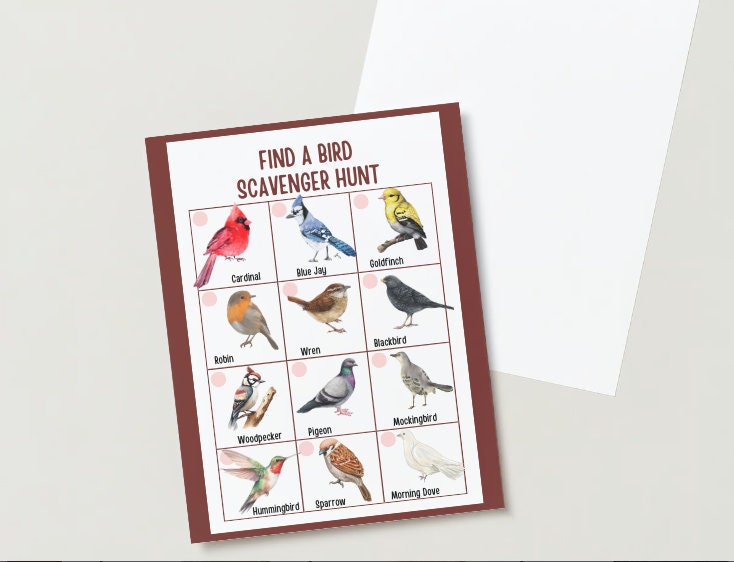 Bird Identification Scavenger Hunt | Birding Guide for Kids | Digital ...
