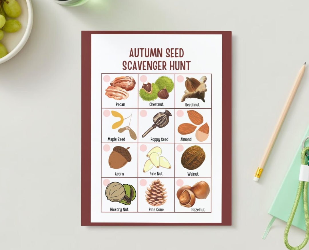 Autumn Seed Scavenger Hunt for Kids | Autumn Scavenger Hunt | Autumn ...