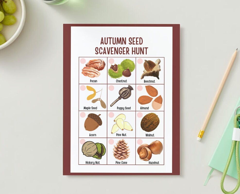Autumn Seed Scavenger Hunt for Kids | Autumn Scavenger Hunt | Autumn ...