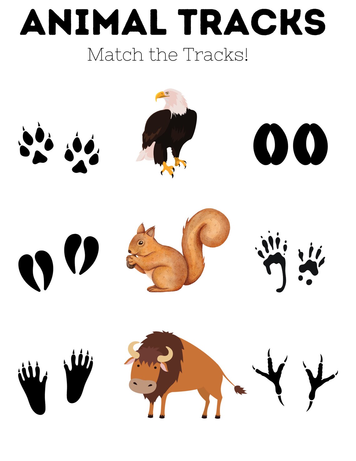 Animal Tracks Worksheet Bundle Identify Animal Tracks Educational Print ...