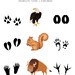 Animal Tracks Worksheet Bundle Identify Animal Tracks Educational Print ...