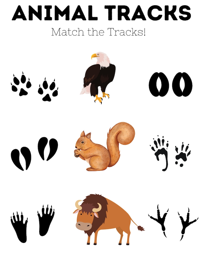 Animal Tracks Worksheet Bundle: Educational Field Guide (PDF Download ...
