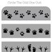 Animal Tracks Worksheet Bundle Identify Animal Tracks Educational Print ...