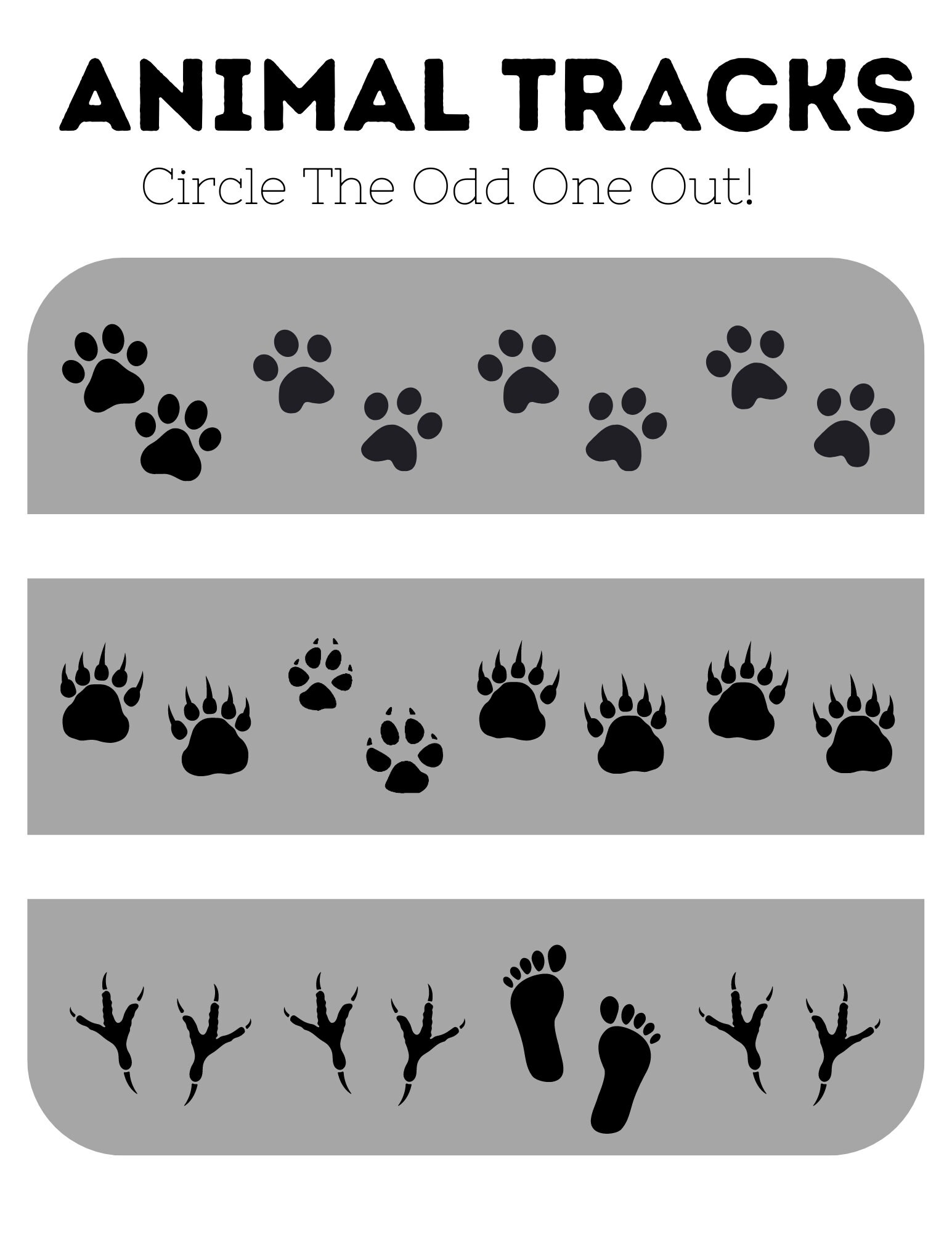 Animal Tracks Worksheet Bundle Identify Animal Tracks Educational Print ...