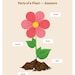 Parts of the Plant Worksheet | Parts of the Plant Labeling Activity - Etsy