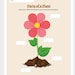 Parts of the Plant Worksheet | Parts of the Plant Labeling Activity - Etsy