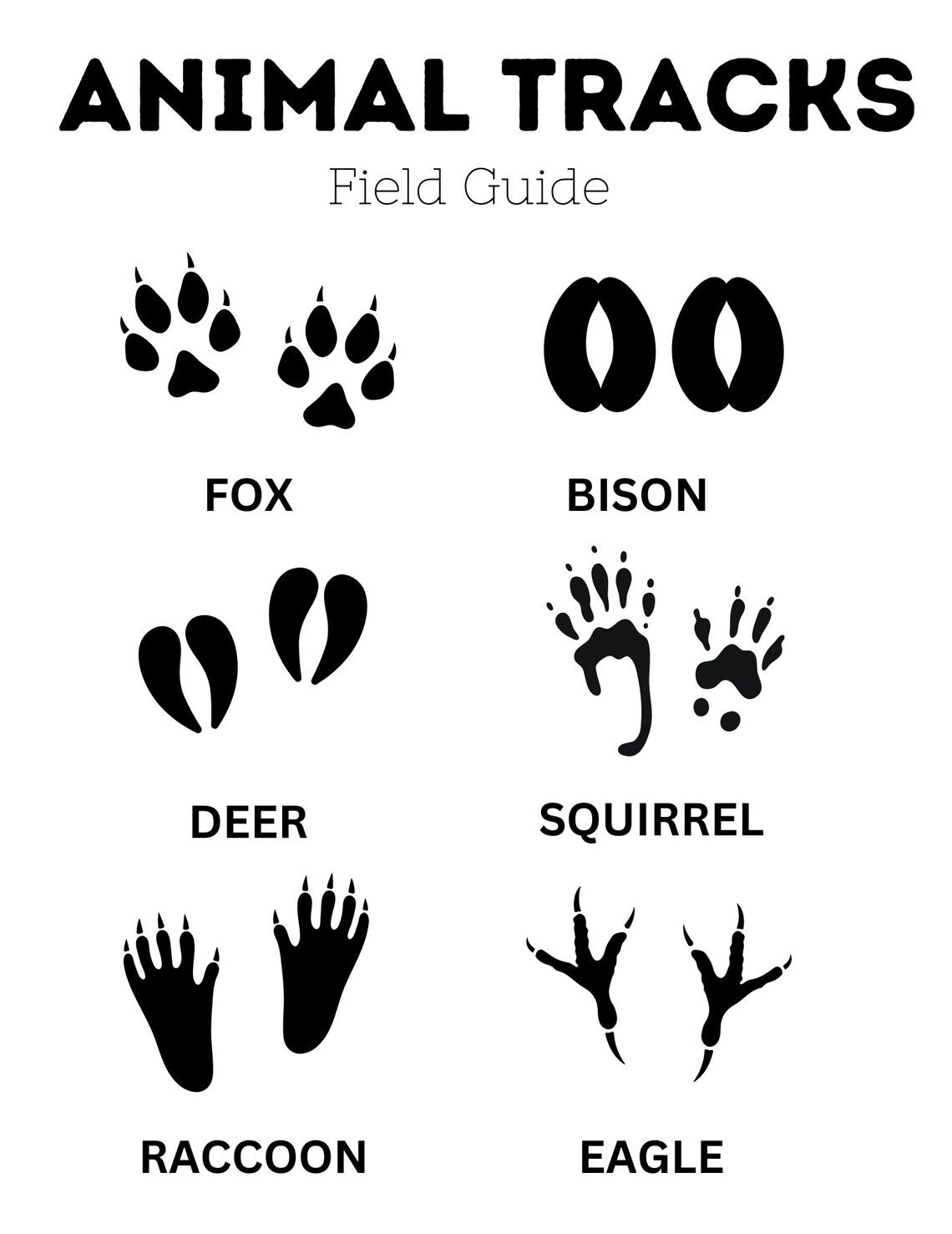 Animal Tracks Worksheet Bundle Identify Animal Tracks Educational Print ...