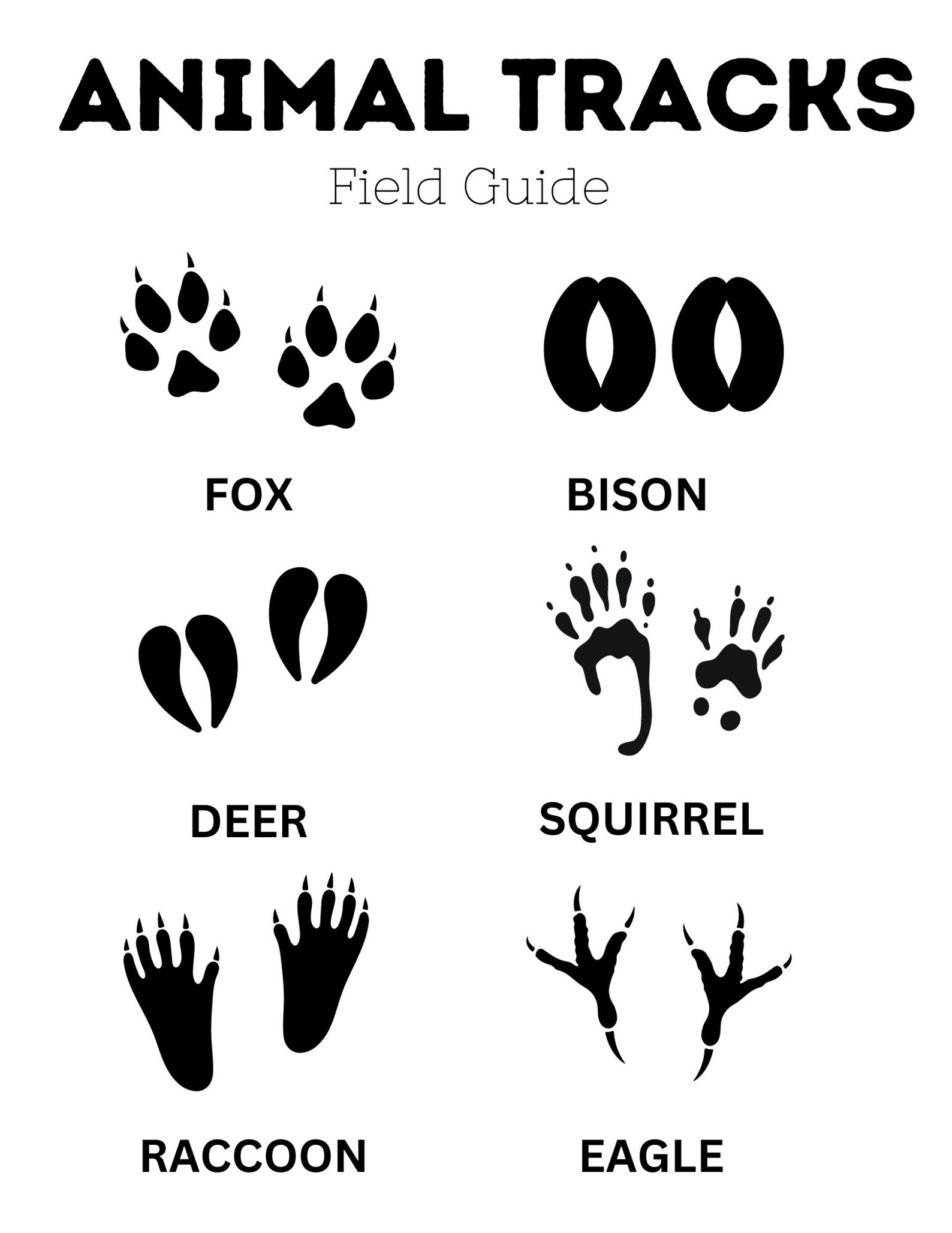 Animal Tracks Worksheet Bundle Identify Animal Tracks Educational Print ...