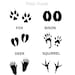 Animal Tracks Worksheet Bundle Identify Animal Tracks Educational Print ...