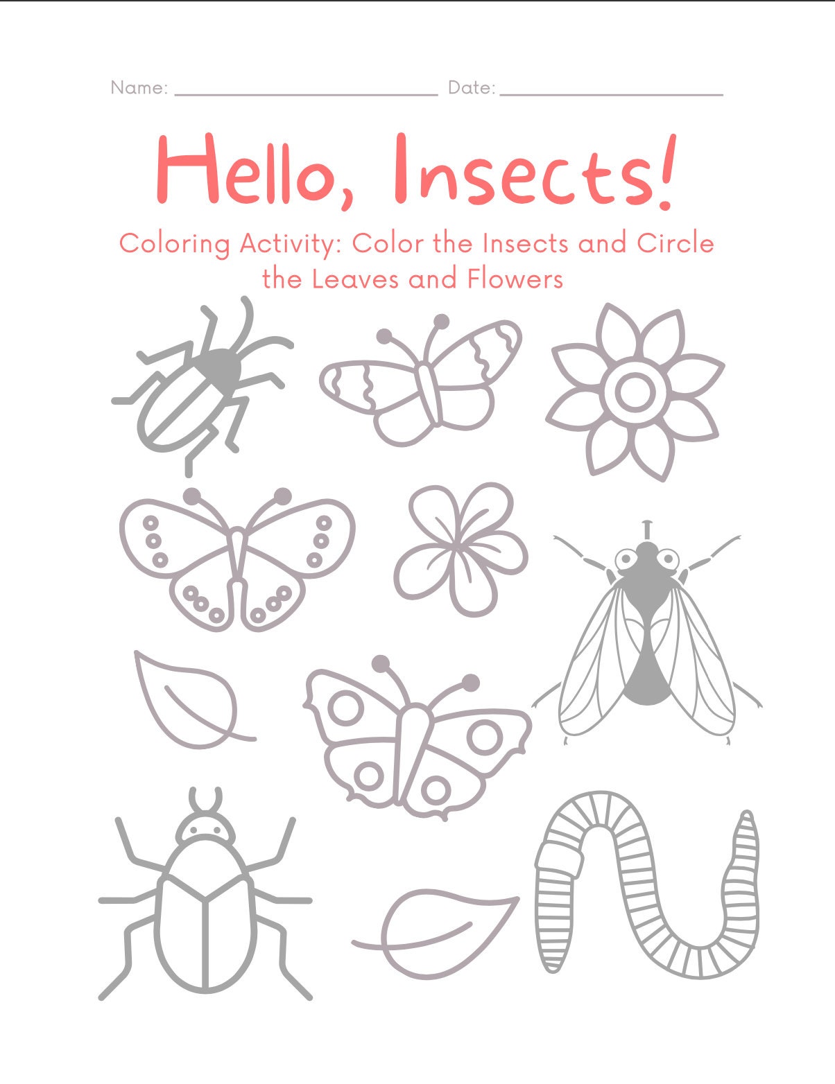 Parts Of An Insect Coloring Pages