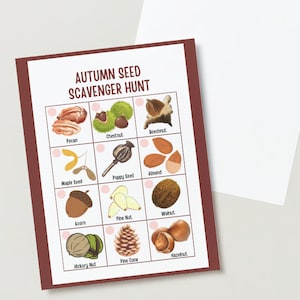 Autumn Seed Scavenger Hunt for Kids | Autumn Scavenger Hunt | Autumn ...