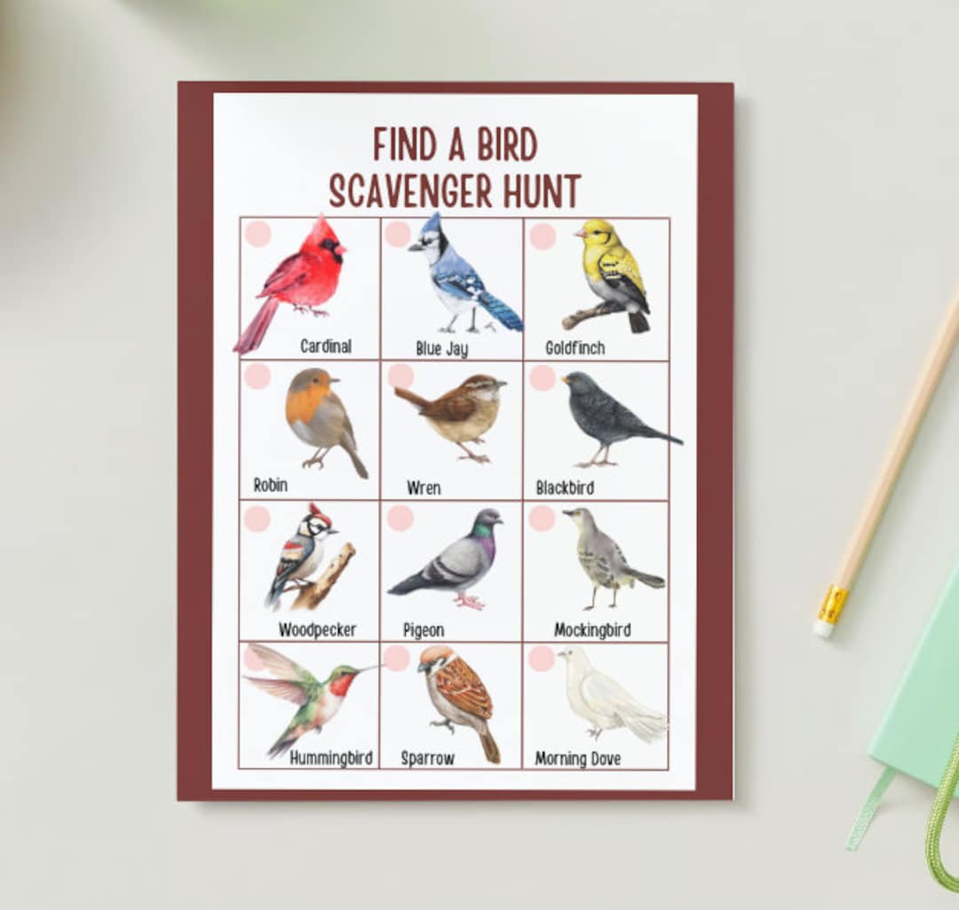 Bird Identification Scavenger Hunt | Birding Guide for Kids | Digital ...