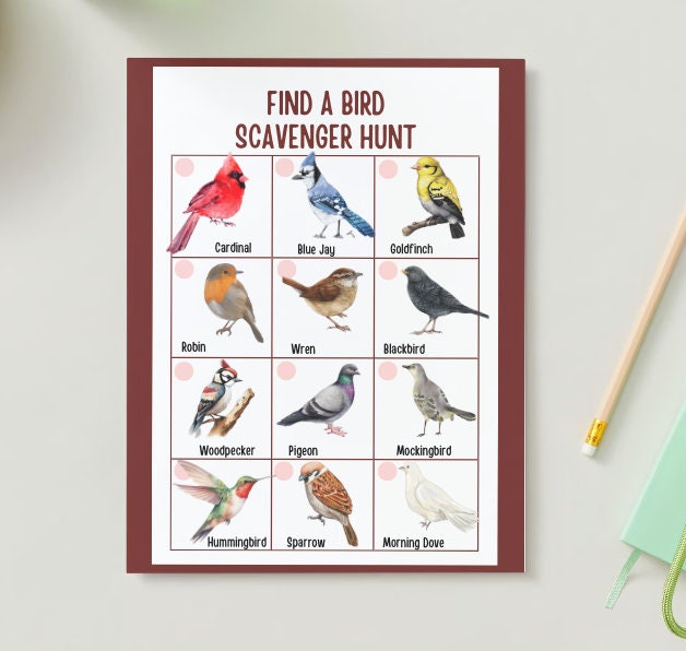 Bird Identification Scavenger Hunt | Birding Guide for Kids | Digital ...