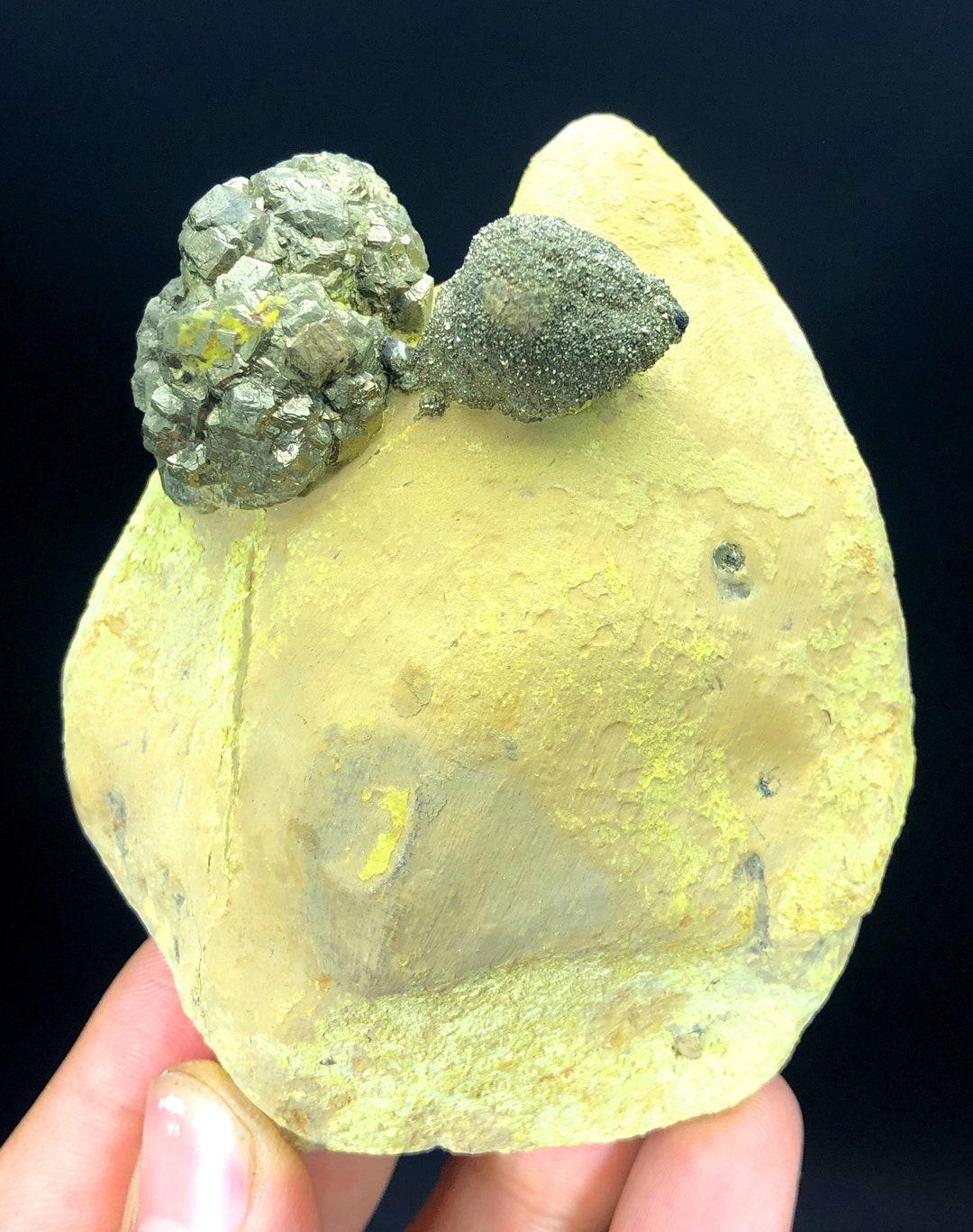 Attractive Golden Color Pyrite Crystals on Limonite Matrix, Pyrite ...