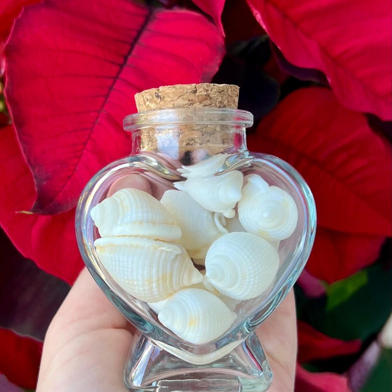 Beach Combing Finds - Etsy
