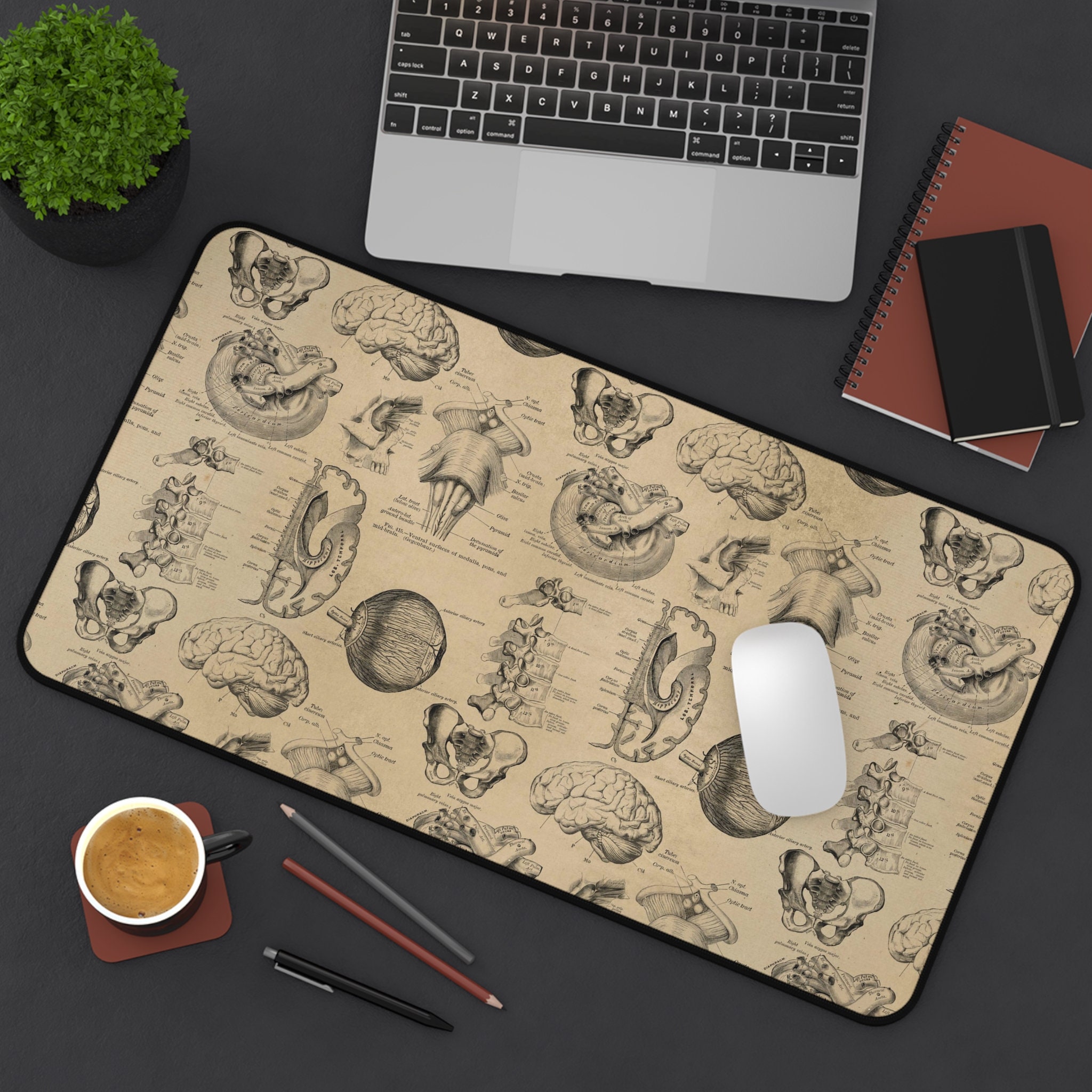 Vintage Skeleton Desk Mat, TCG Playmat, 2 Sizes, Human Anatomy, for ...