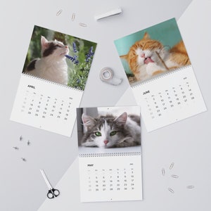 2025 Cute Cats Wall Calendar, Adorable Kittens Calendar, Gift for Cat ...