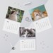 2025 Cute Cats Wall Calendar, Adorable Kittens Calendar, Gift for Cat ...