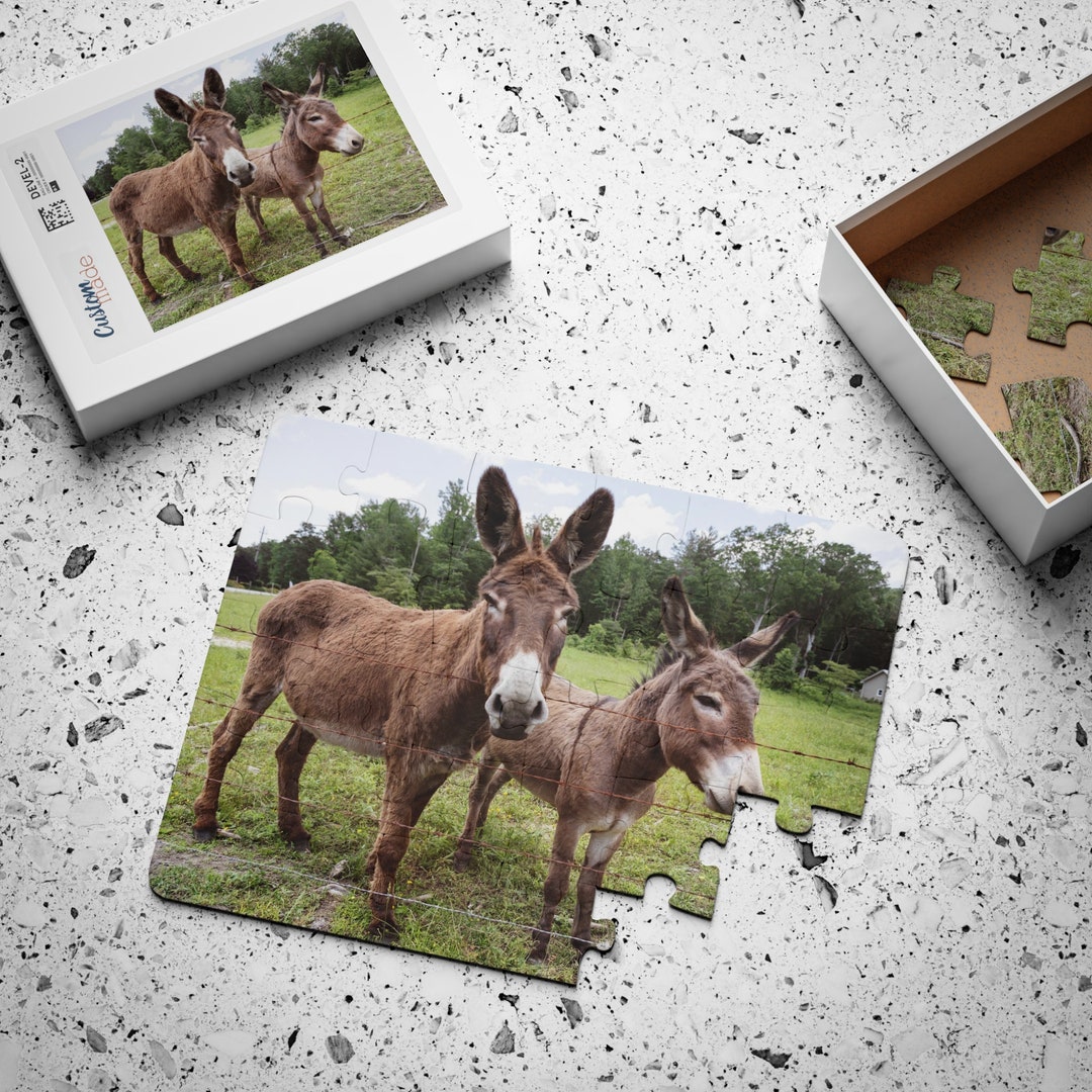 Dementia Puzzle, Donkeys on a Farm, Rural Photography, Adult 30-piece ...