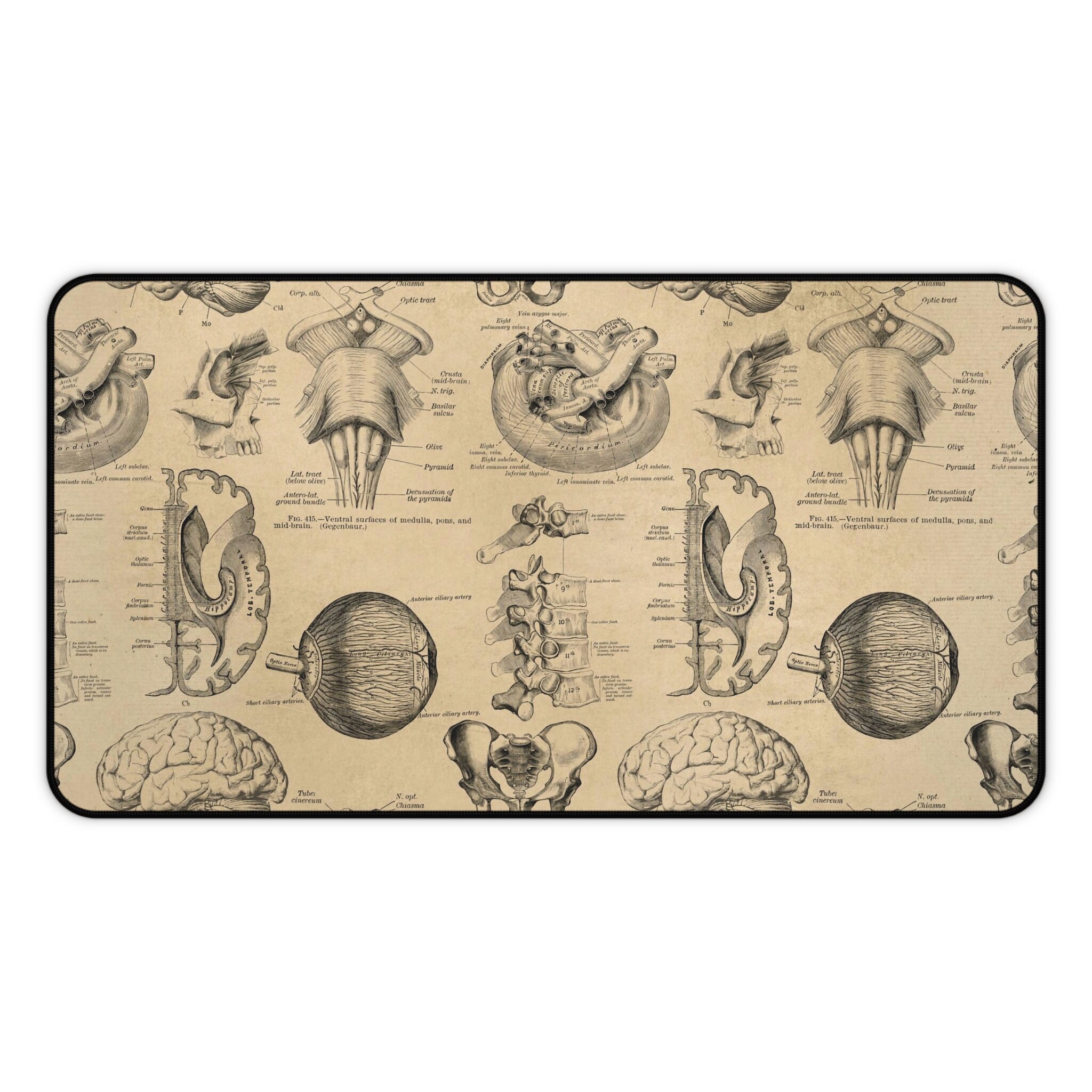 Vintage Skeleton Desk Mat, TCG Playmat, 2 Sizes, Human Anatomy, for ...