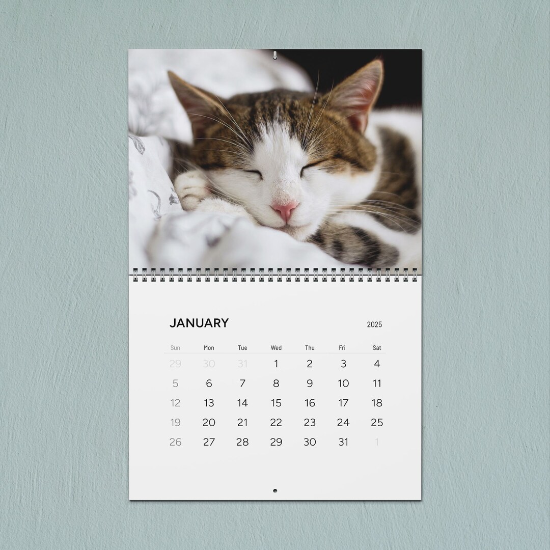 2025 Cute Cats Wall Calendar, Adorable Kittens Calendar, Gift for Cat ...