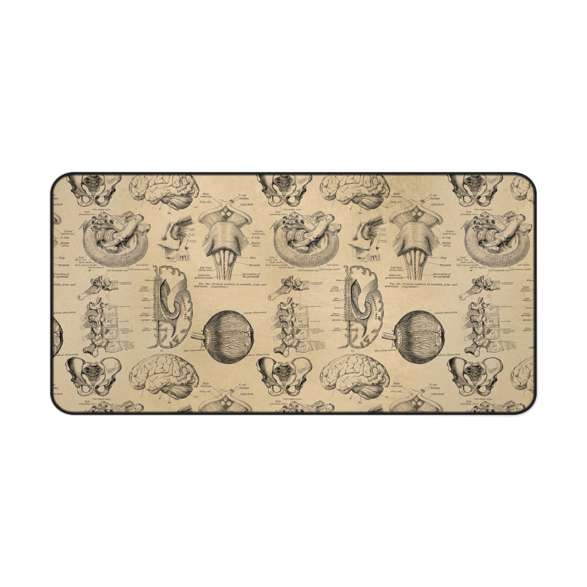 Vintage Skeleton Desk Mat, TCG Playmat, 2 Sizes, Human Anatomy, for ...