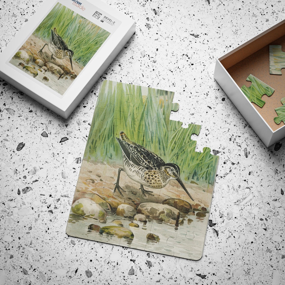 Dementia Puzzle, Bird Illustration, English Snipe, Vintage Art, Adult ...