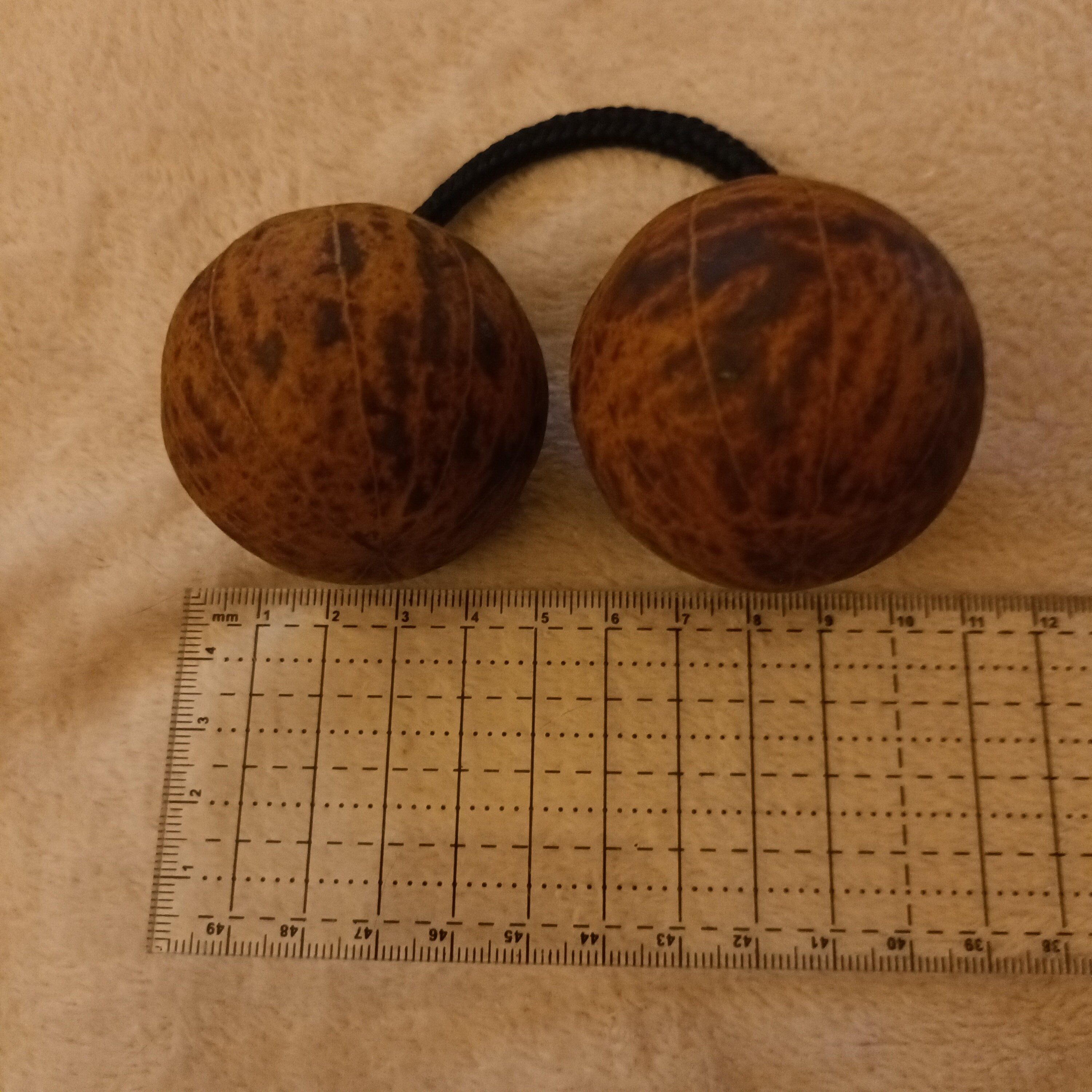 Kosh Kash From Ghana / Africa Kashakas, Rassel, Asalato, Shakers, Kush ...