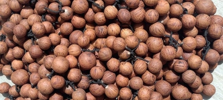 Kosh Kash From Ghana / Africa Kashakas, Rassel, Asalato, Shakers, Kush ...