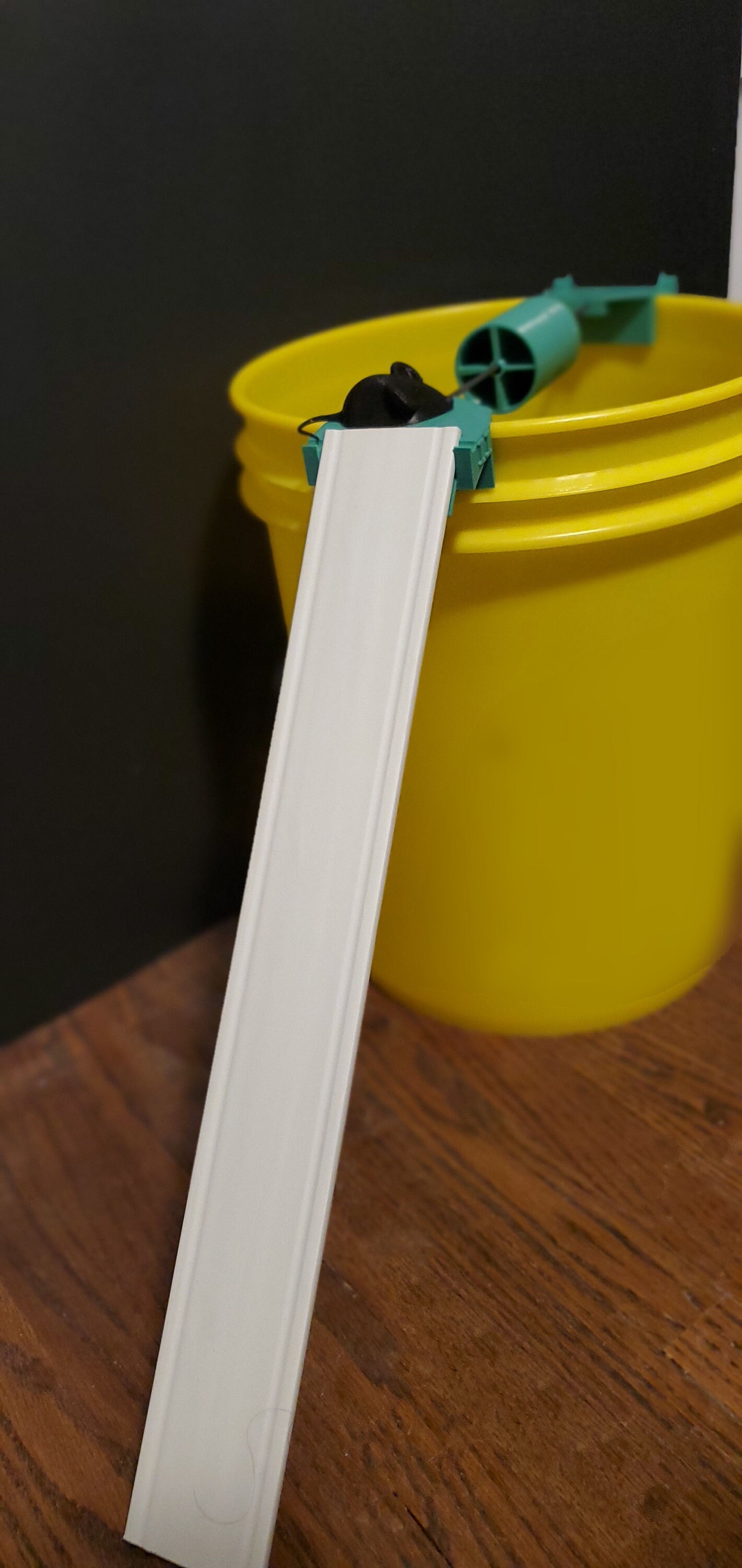 Mouse Trap 3D Printed Mouse Catcher 3d Printed Printable STL DIY for ...