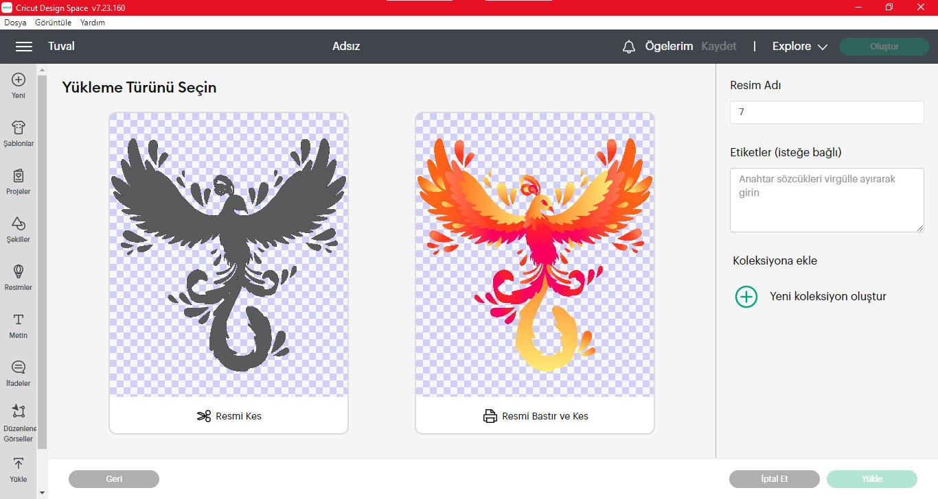 Phoenix Svg Phoenix Design Phoenix Silhouette Svg Phoenix Sticker Svg ...