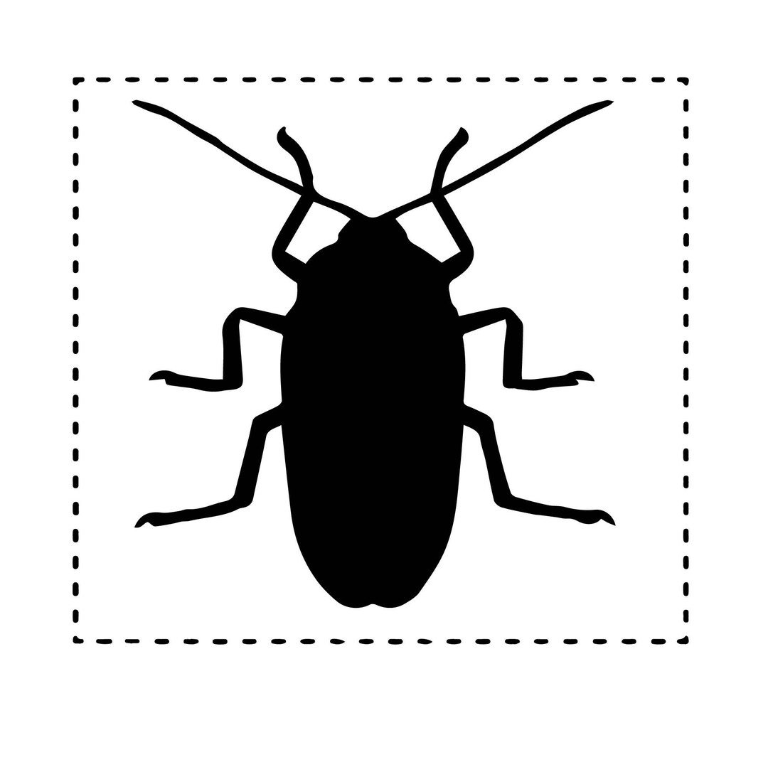 Cockroach Silhouette | Cockroach Cut Files | Svg File | Decal | Sticker ...