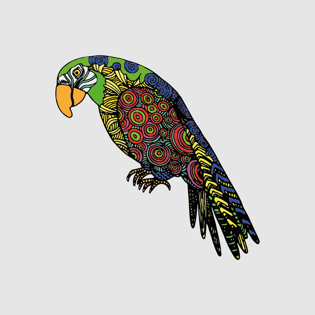 Parrot Svg | Parrot Png | Colorful Parrot | Digital File | Logo Print ...
