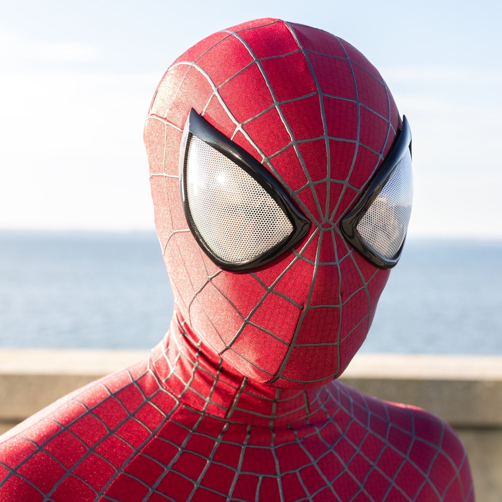 ASM 2 Faceshell and Lens Set - Etsy