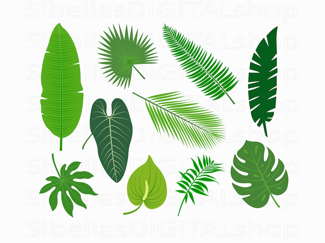 Exotic Tropical Leaves Printables - Jungle Botanical Greenery - Instant ...