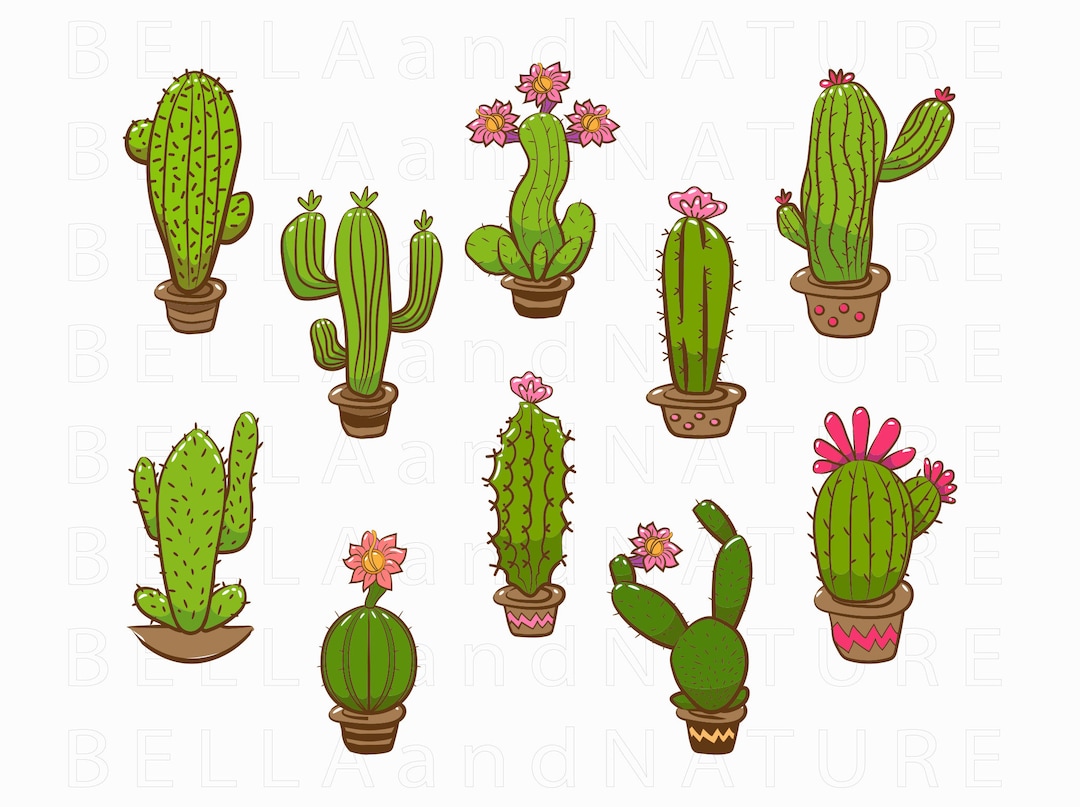 Cactus Succulent Clipart Bundle - Printables Digital Download PNG SVG ...