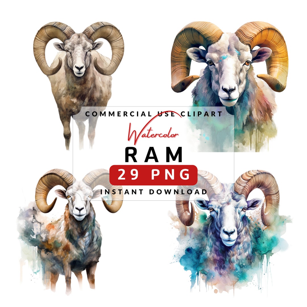 Watercolor Ram Clipart Bundle Wallart PNG Ram Gift for Craft - Etsy