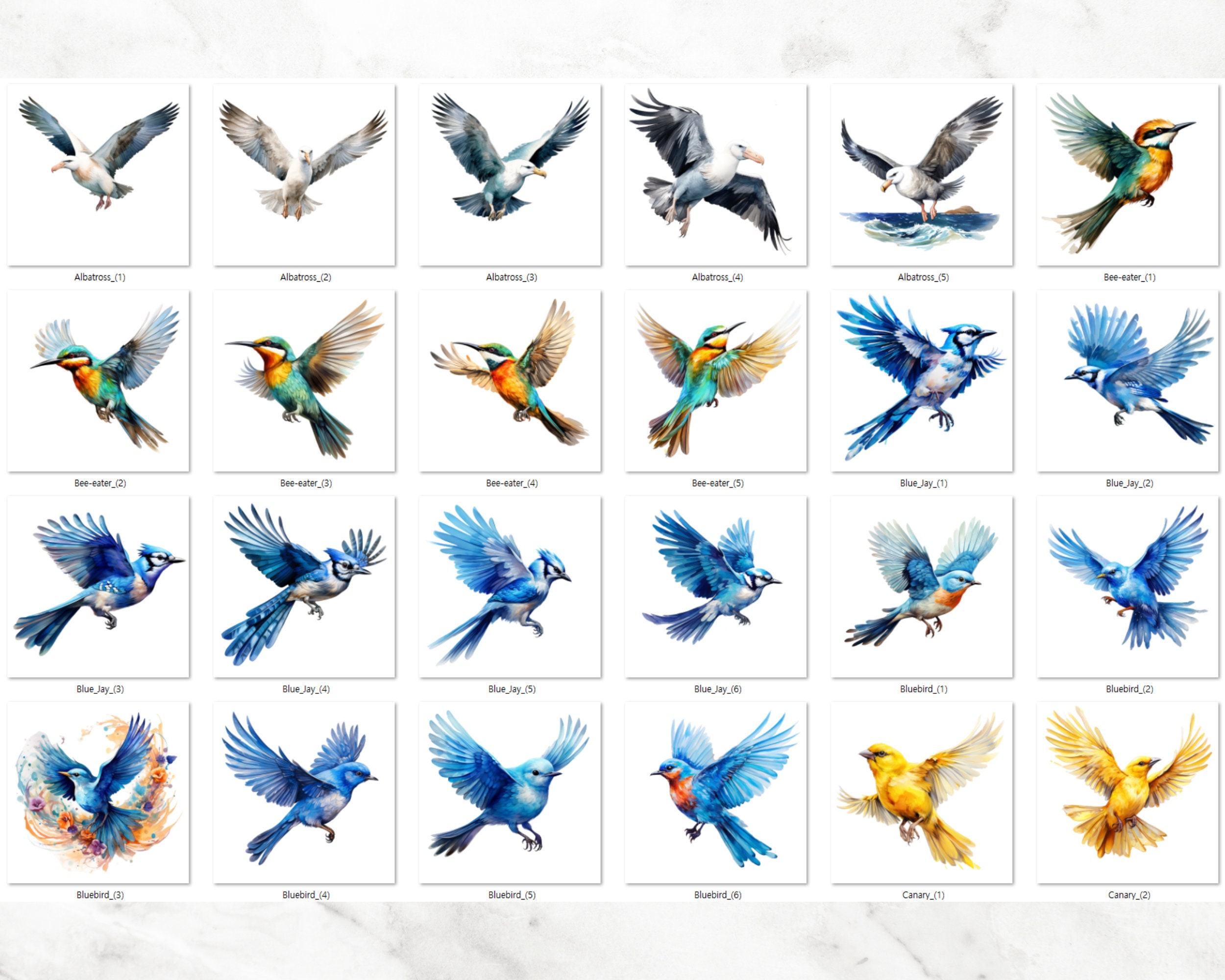 Watercolor Flying Birds Clipart Bundle, 200+ PNG (digital Download) - Etsy