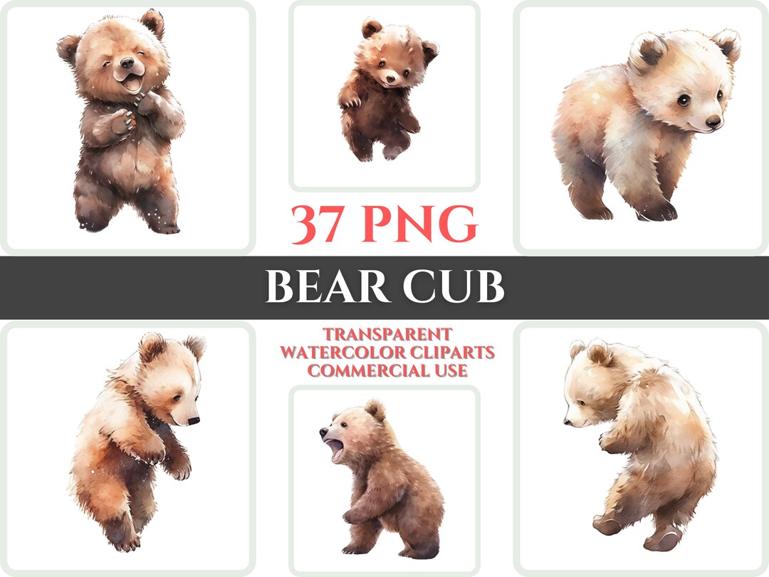 Watercolor Baby Bear Clipart, 37 PNG Nursery Designs (digital Download ...