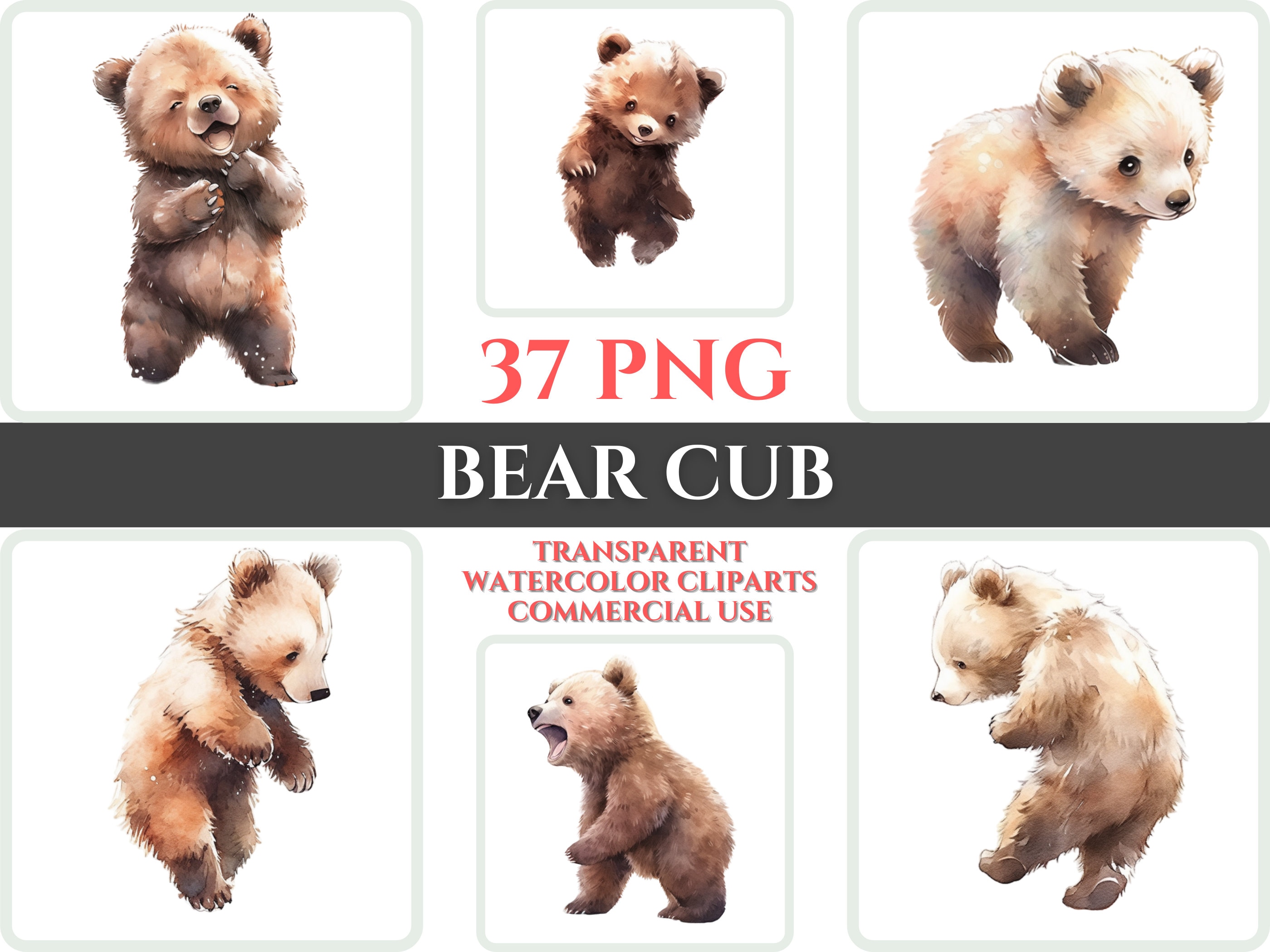 Bear Cub Clip Art