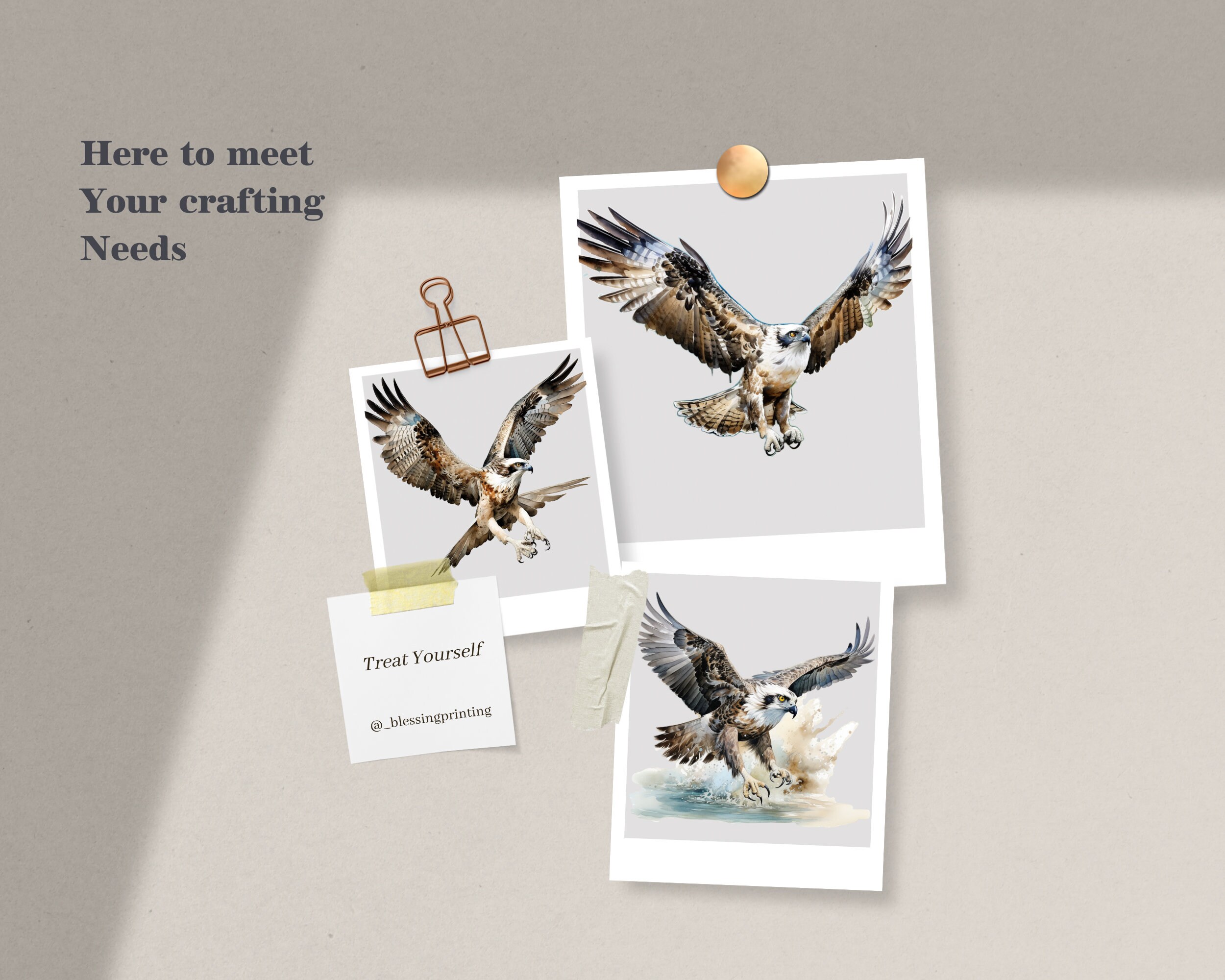 Watercolor Osprey Clipart Majestic Brown Bird Fly Bundle Sublimation ...