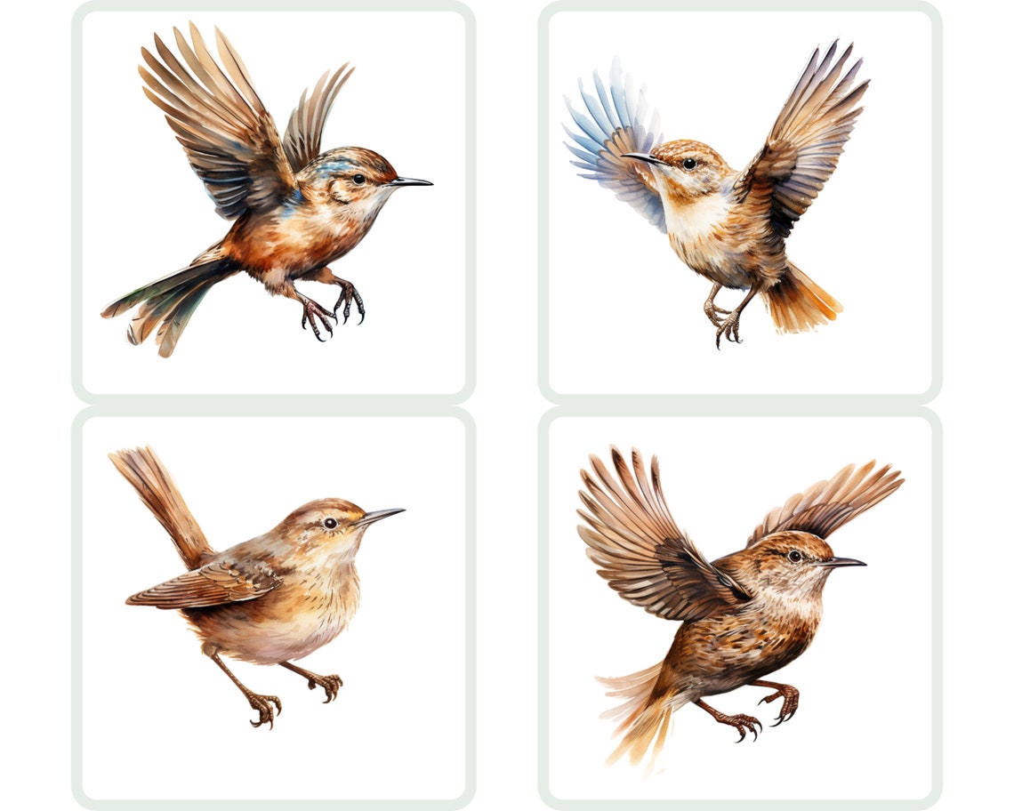 Watercolor Wren Clipart Majestic Brown Bird Fly Bundle - Etsy