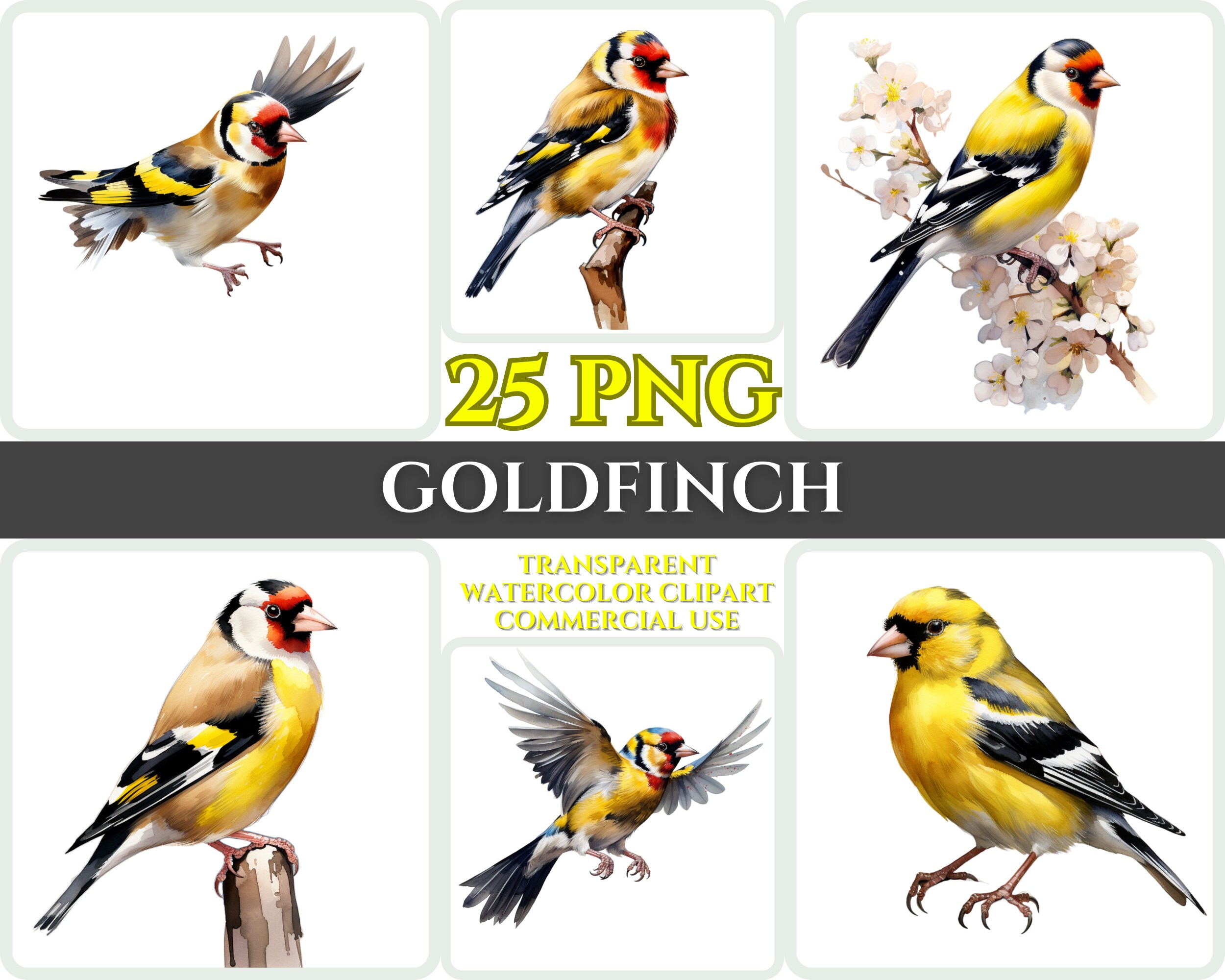 Watercolor Goldfinch Clipart Majestic Yellow Bird Fly Bundle - Etsy