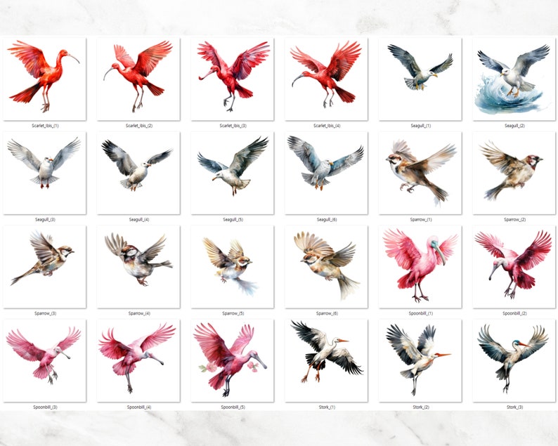 Bird Flying Watercolor Clipart Bundle Majestic Colorful Birds Fly PNG ...