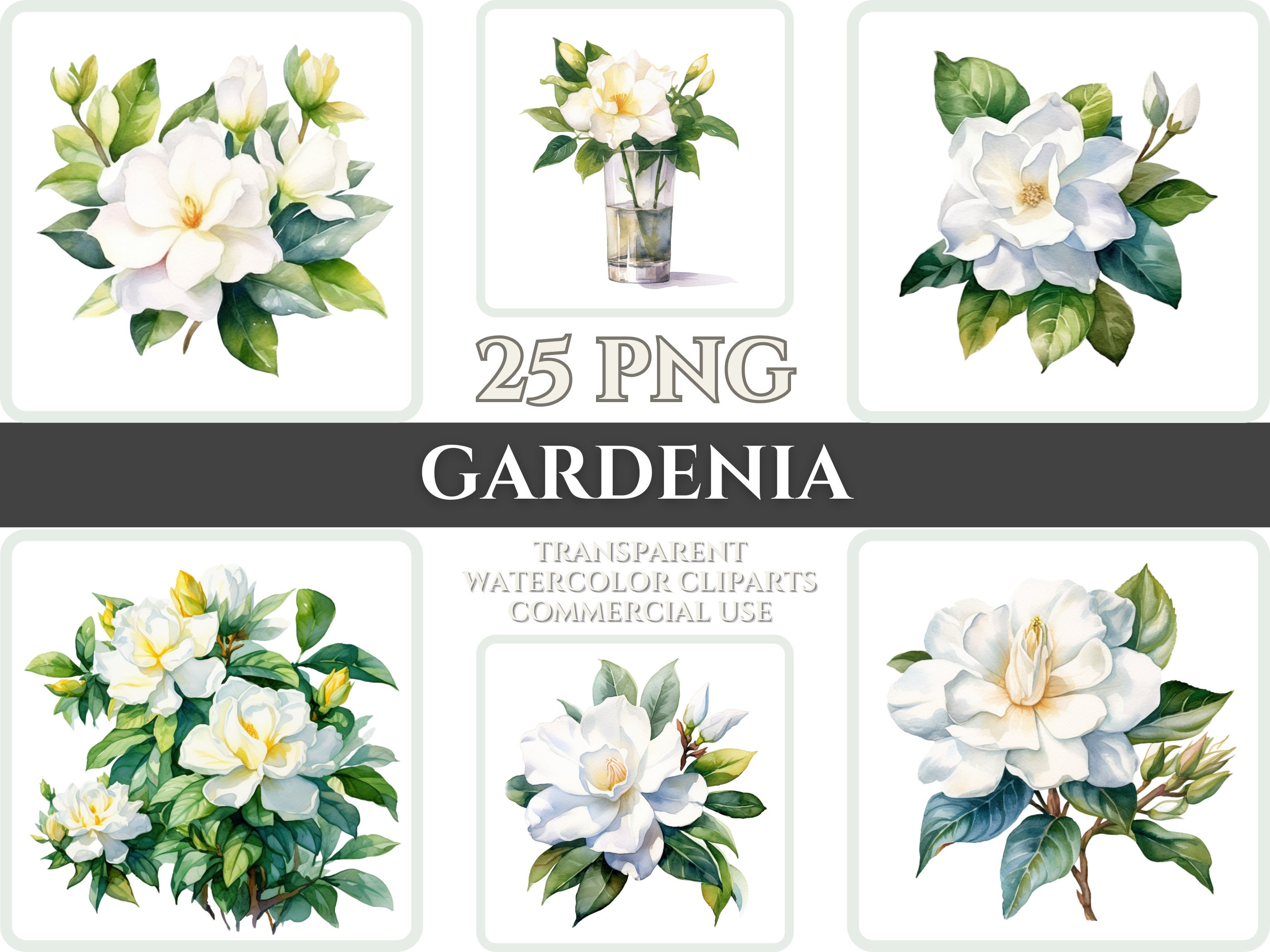 Gardenia Clipart