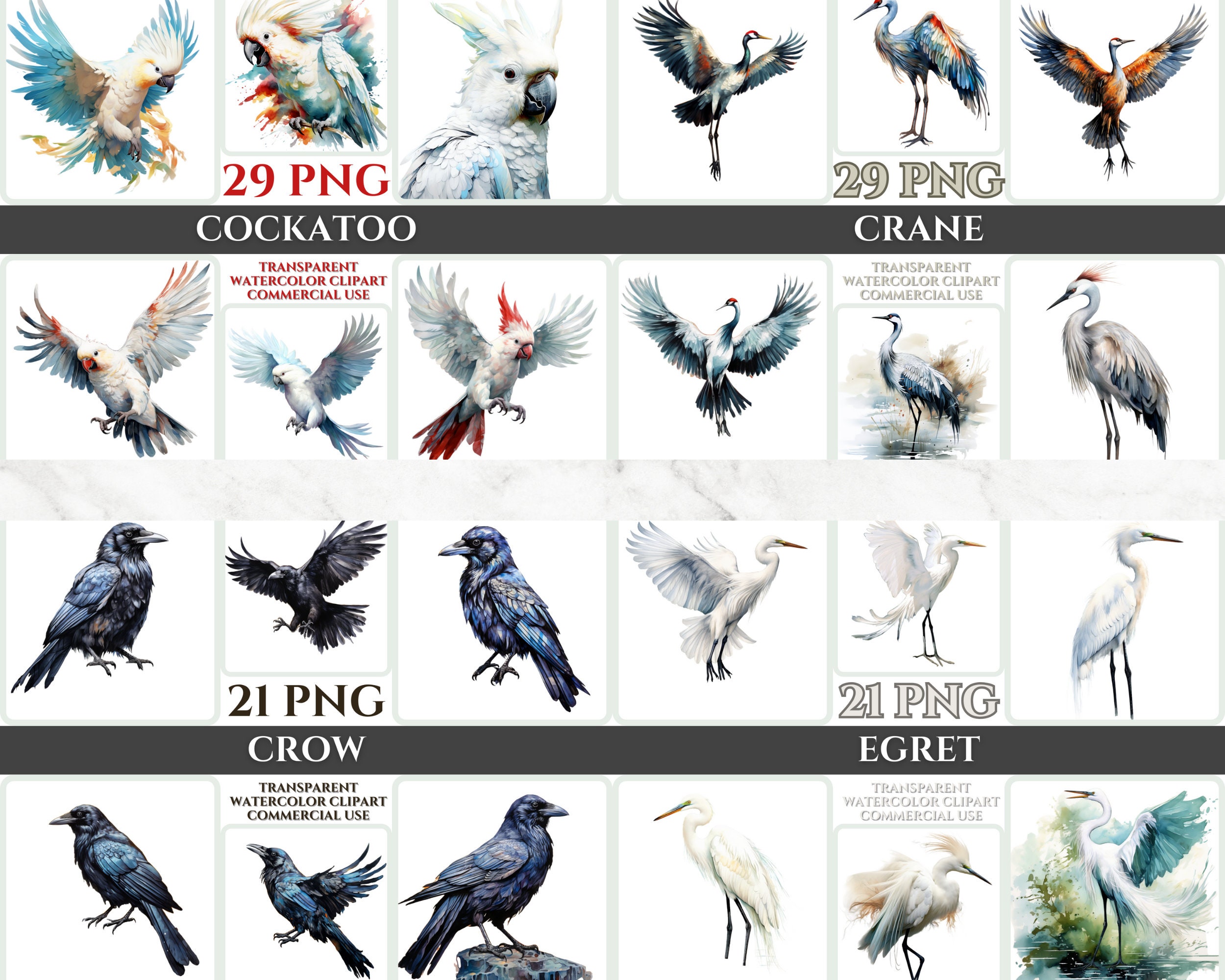 Watercolor Bird Clipart Bundle Set 1 Majestic Black White - Etsy