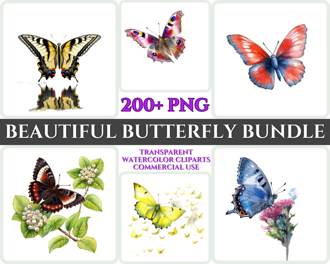 Watercolor Butterfly Clipart Bundle, Floral Wing Illustrations (PNG ...